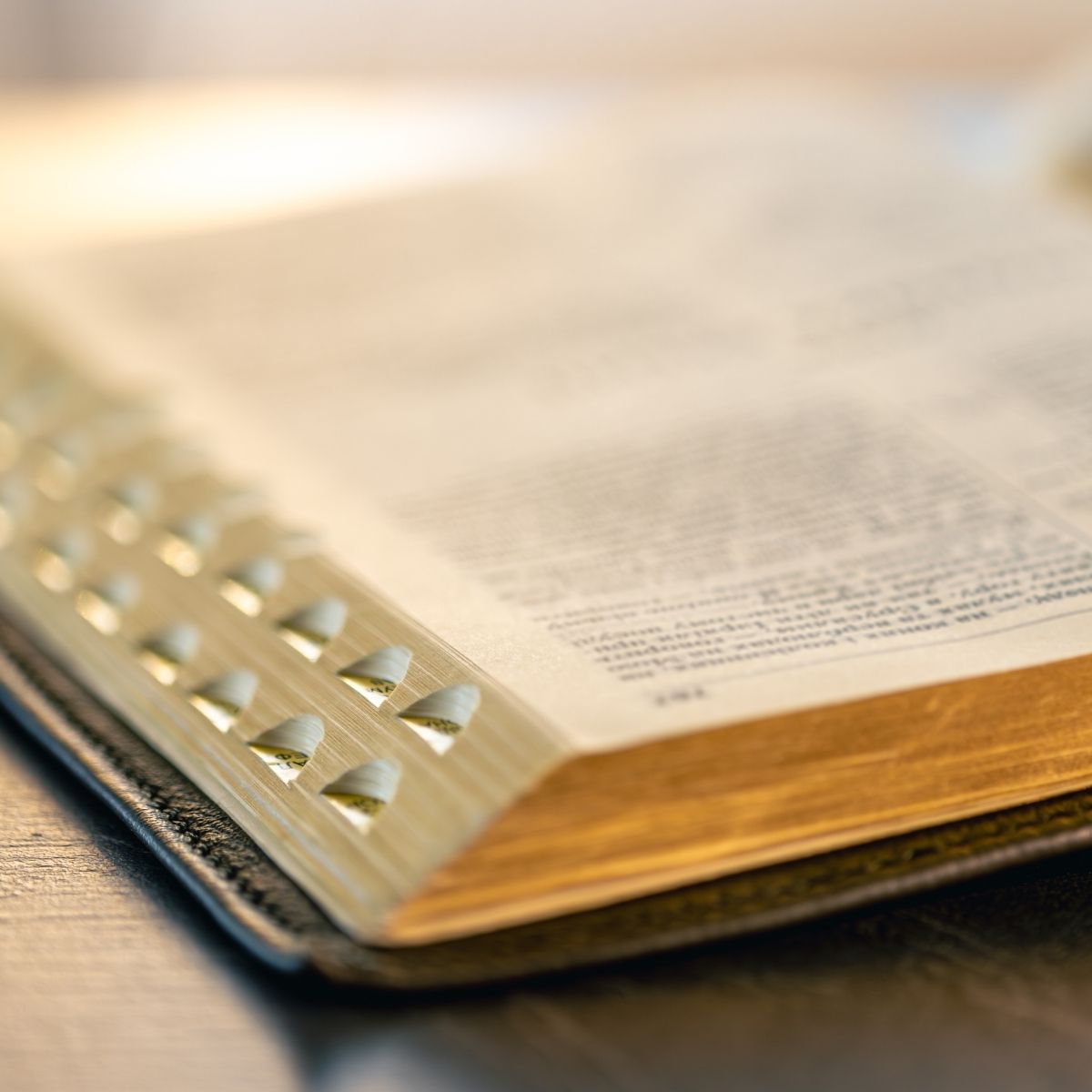 Discover Dispensational Bible Study to Grow Strong in Your Faith ...